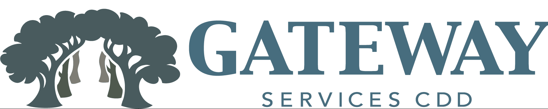 Gateway Services CDD